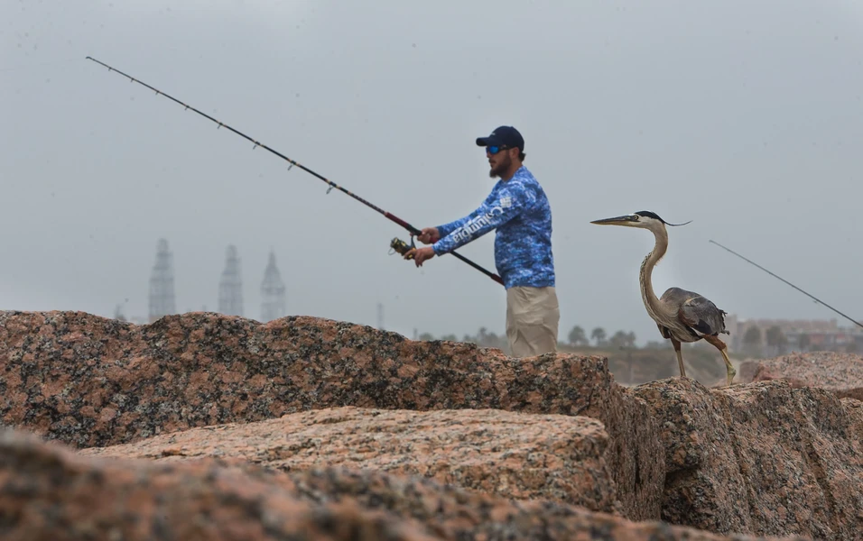Texas jetty trip reveals diverse saltwater catch under shifting conditions