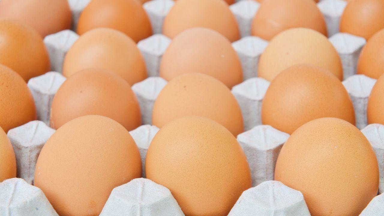 Salmonella, ritiro di uova fresche dai supermercati: i lotti coinvolti