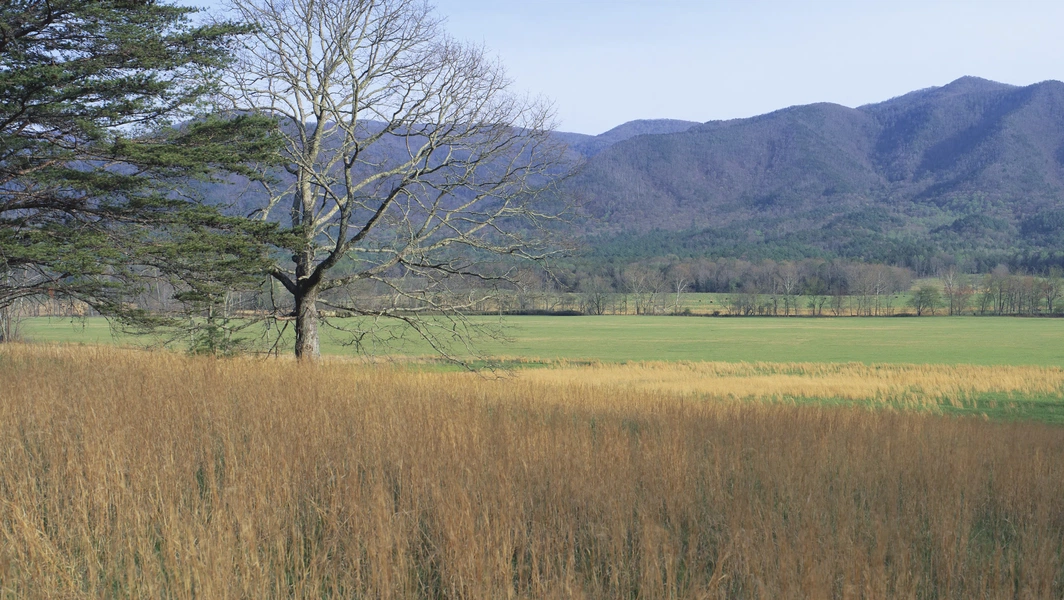 Cades Cove adventures worth slowing down for