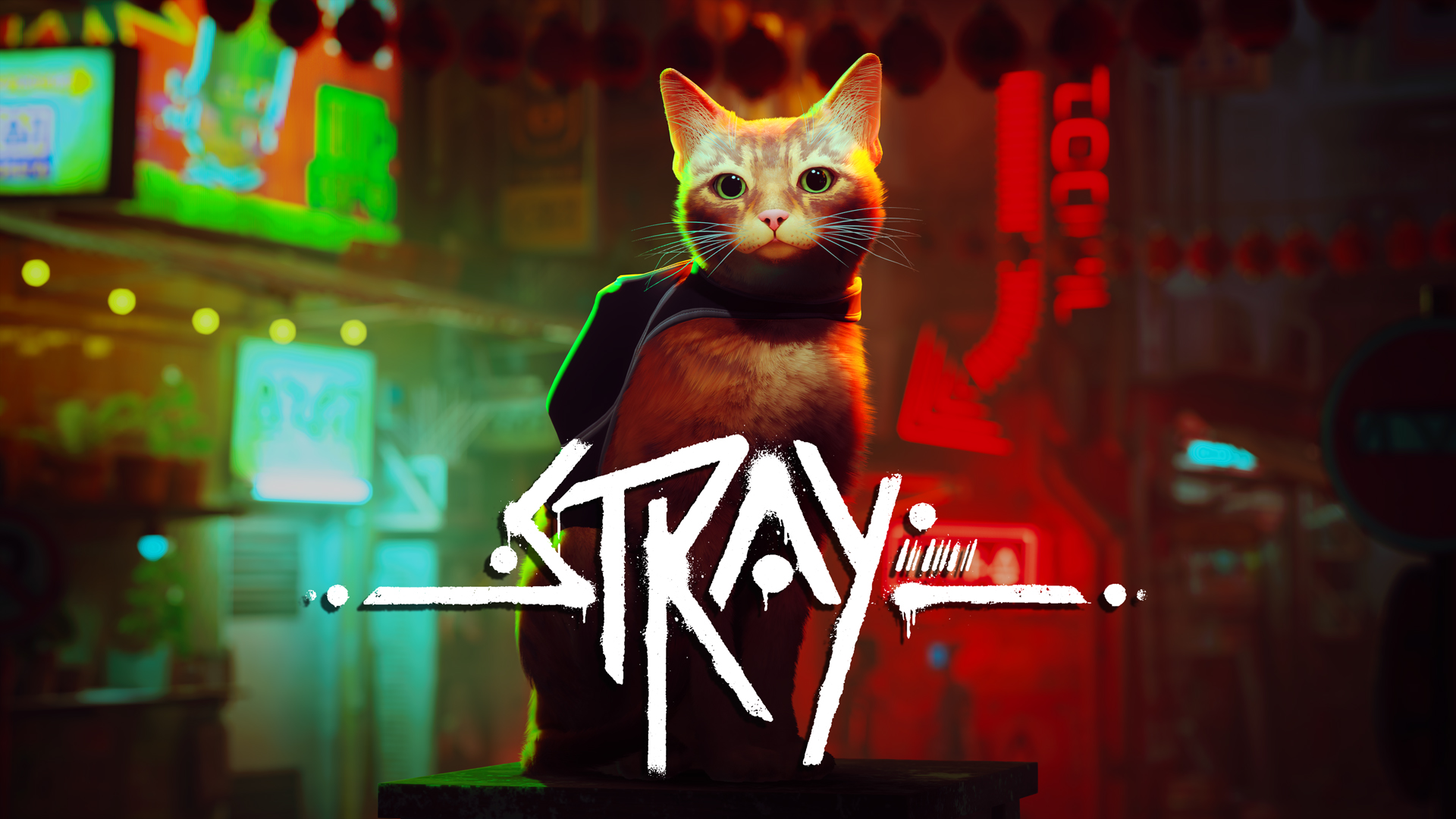 Review: Stray ends up being a solid Switch 2 game