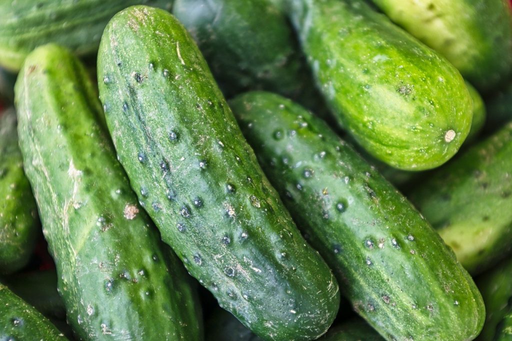 8 summer planting tricks hidden in these vegetable seeds