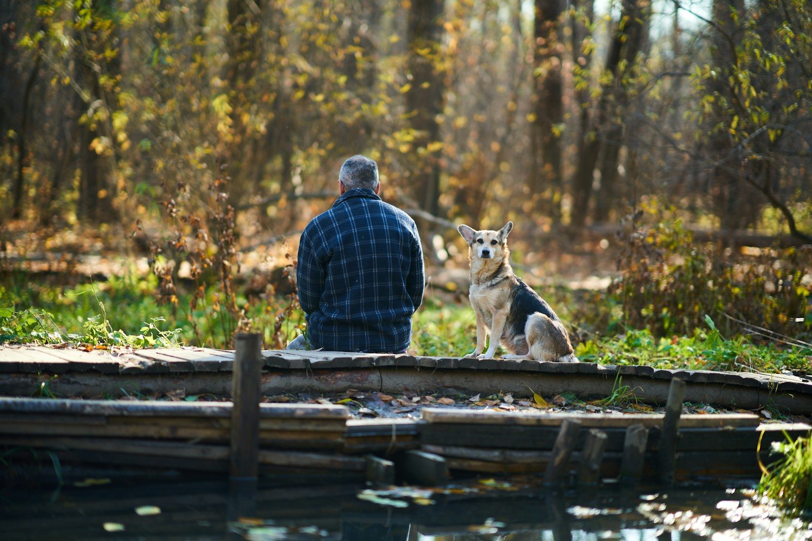 Invasive species are quietly reshaping ecosystems across America