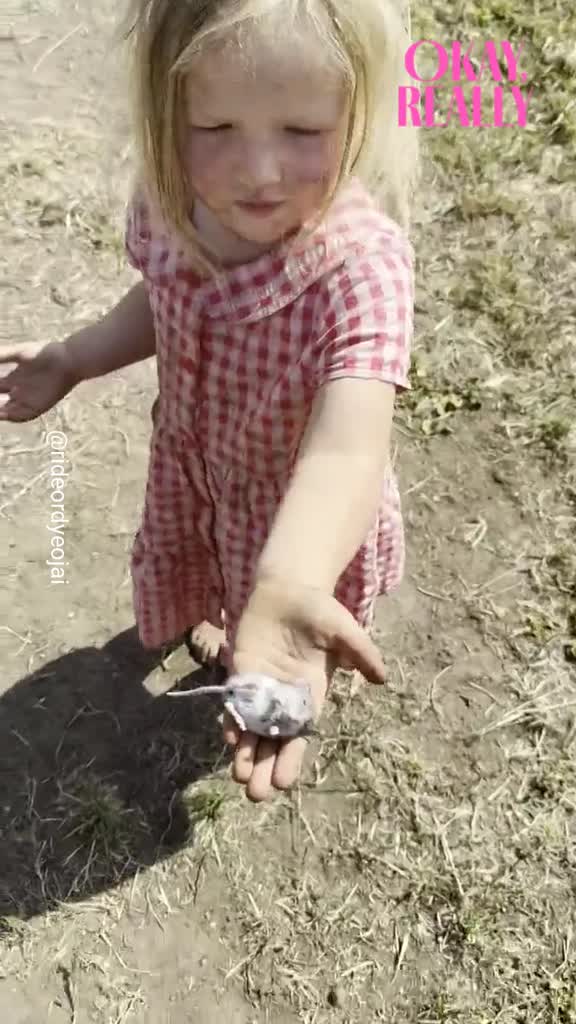 Real-life Cinderella moment as girl befriends friendly mouse