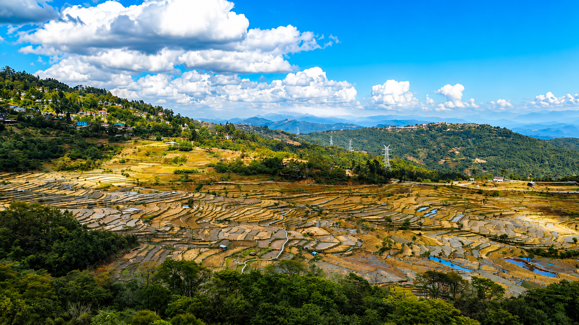 Have you seen this green side of India before?