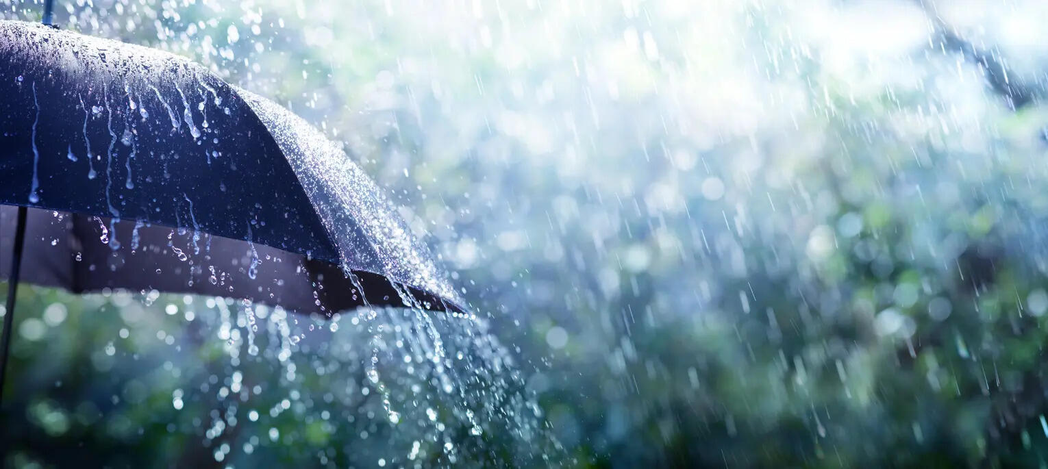 Monsoon 2026: Kerala, Karnataka, Goa brace for heavy rainfall as IMD ...