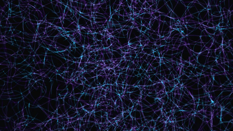 Scientists split autism into two biological types by how the brain ...