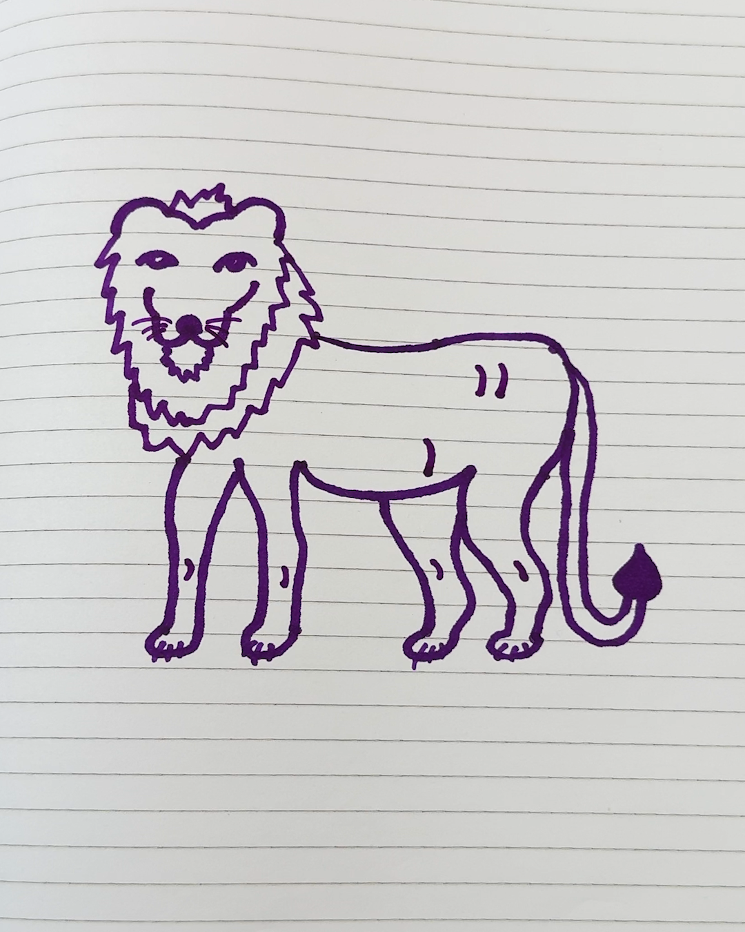 Easy lion sketch for beginners ️🦁