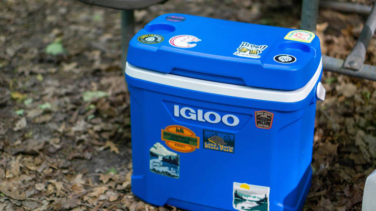 Igloo's classic 9-quart cooler is still only $14, proving affordable ...