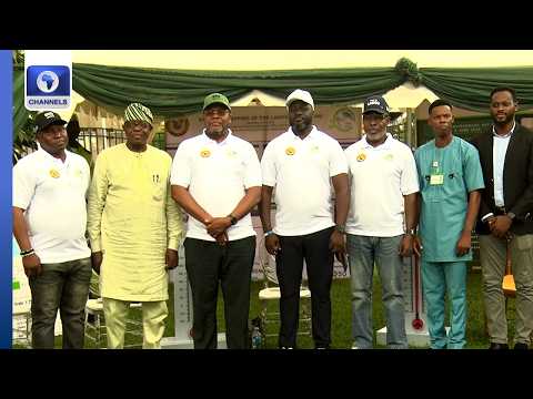 Lagos calls for adoption of nature-based solutions to climate change