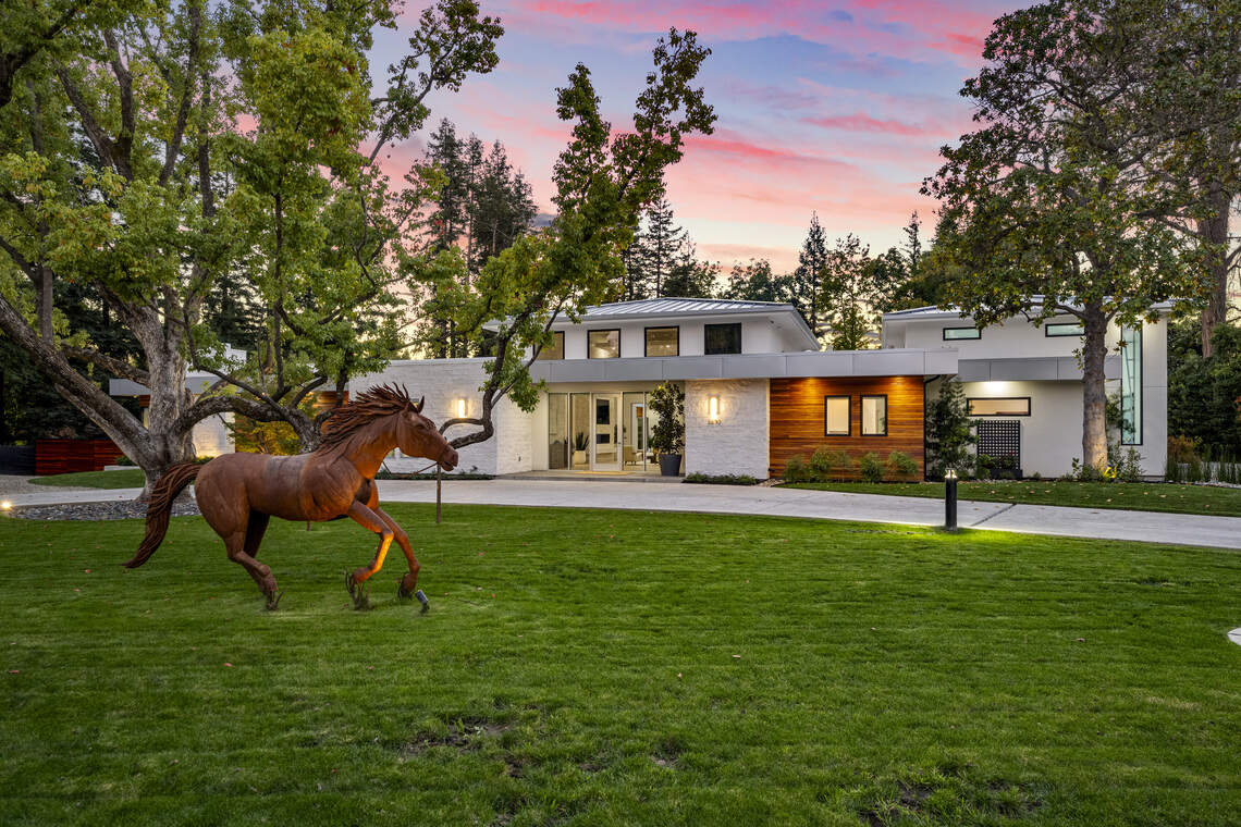 Inside a boldly modern Sacramento home built around an oak, with nod to ...