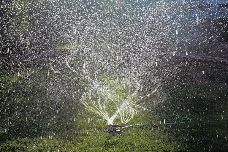 Paddling pools and garden furniture leave yellow marks on your lawn ...