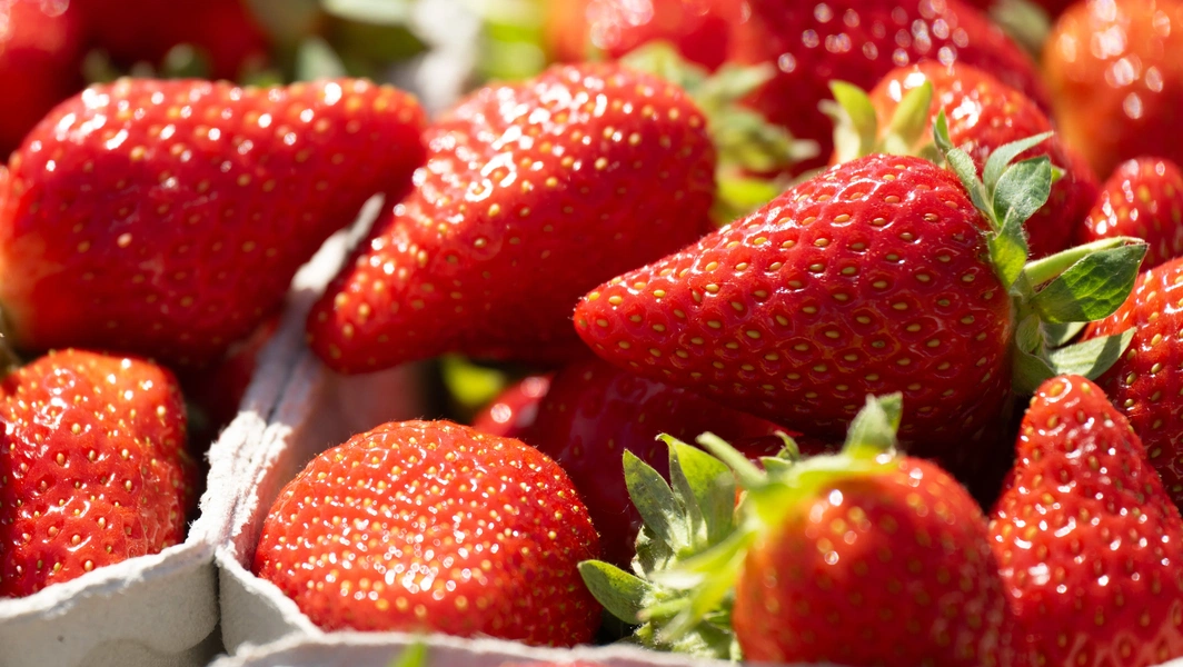 Fresh salad ideas to brighten your plate