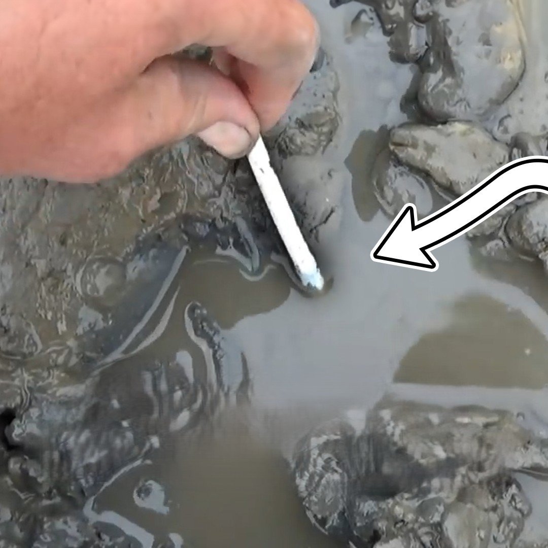 A Long Pipe Find on the Thames