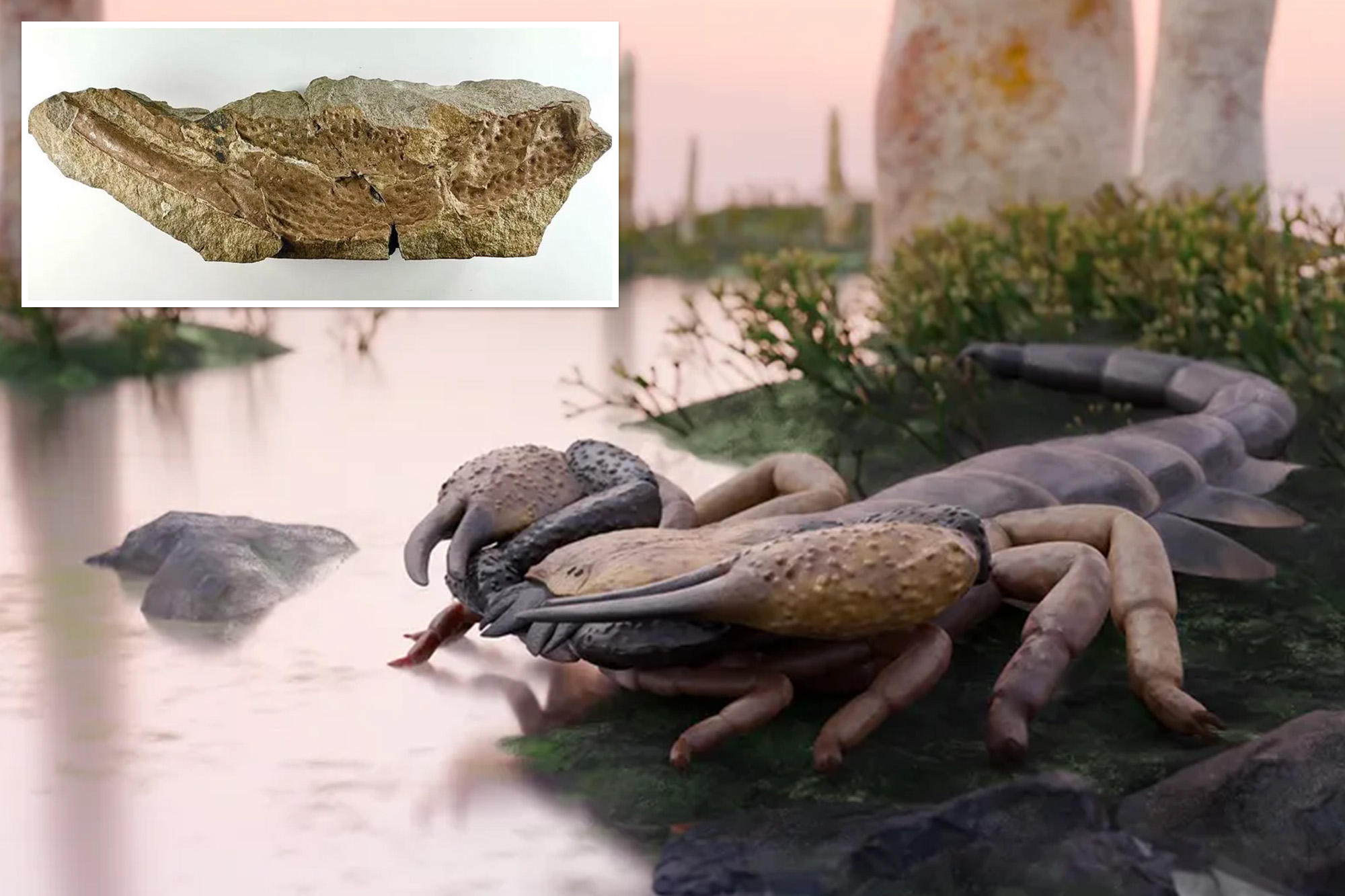 Largest scorpion ever grew to over three-feet long and had six-inch ...
