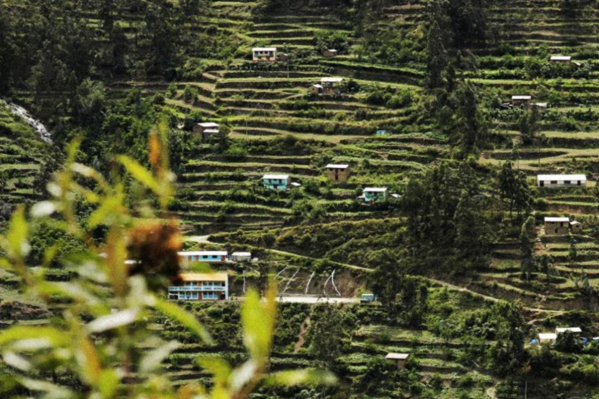 Los Andenes de Cuyocuyo son clave para conservar la biodiversidad en el ...