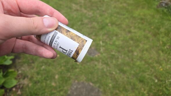 Gardeners urged to scatter black pepper in garden in June