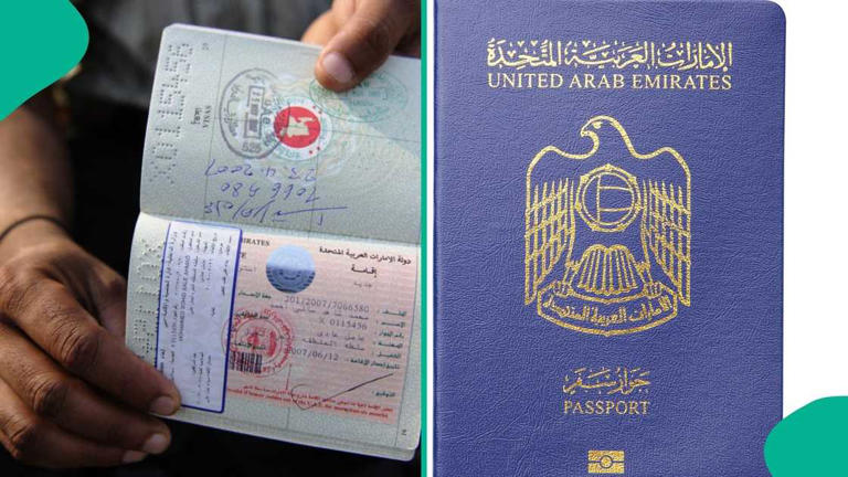 Full list: UAE suspends issuing visas to 3 African countries, gives reason
