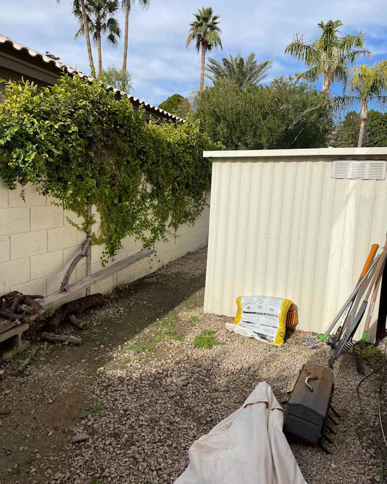 I transformed a sad patch of grass into a breathtaking desert oasis ...