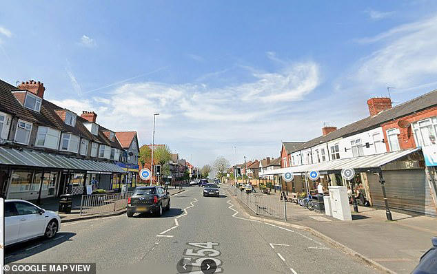 Cyclist, 68, dies after swerving to avoid a car and crashing into a van ...