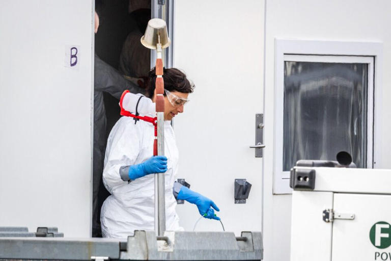 Hantavirus : fin de trois semaines d'inquiétude pour 22 Français, cas ...