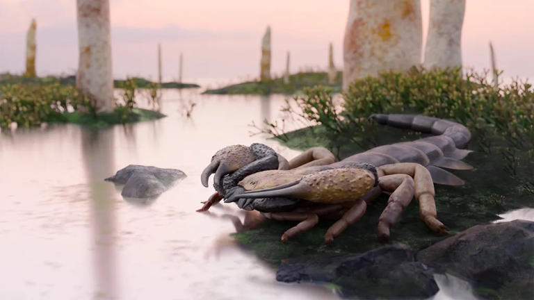 Largest scorpion ever grew to over three-feet long and had six-inch ...
