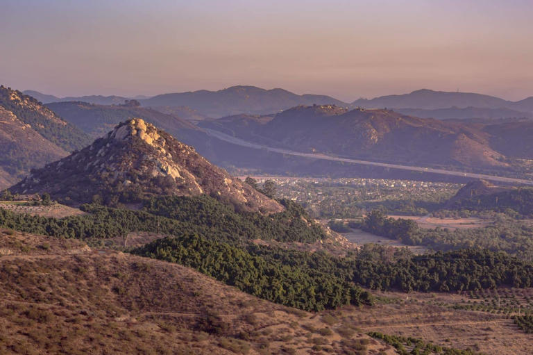 This tiny California town is known as the “Avocado capital of the world”