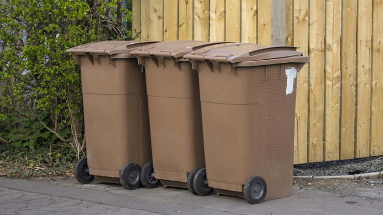Say goodbye to the eyesore of outdoor trash cans — this DIY hides them ...