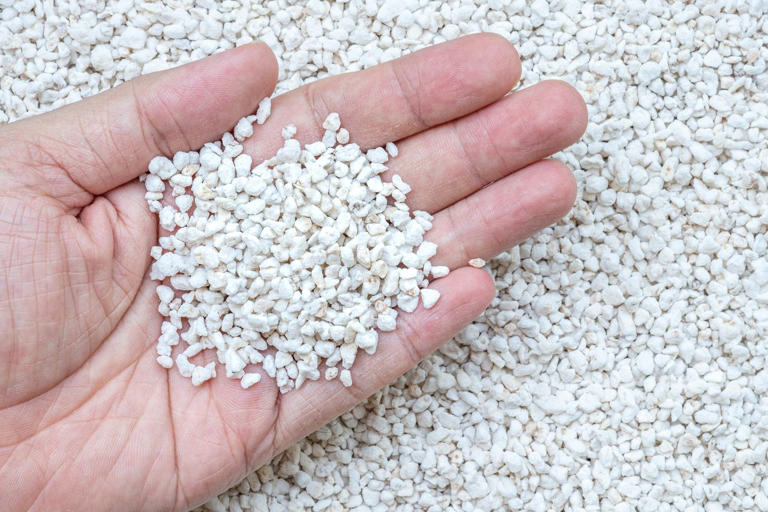 What's the white stuff in my potting mix?