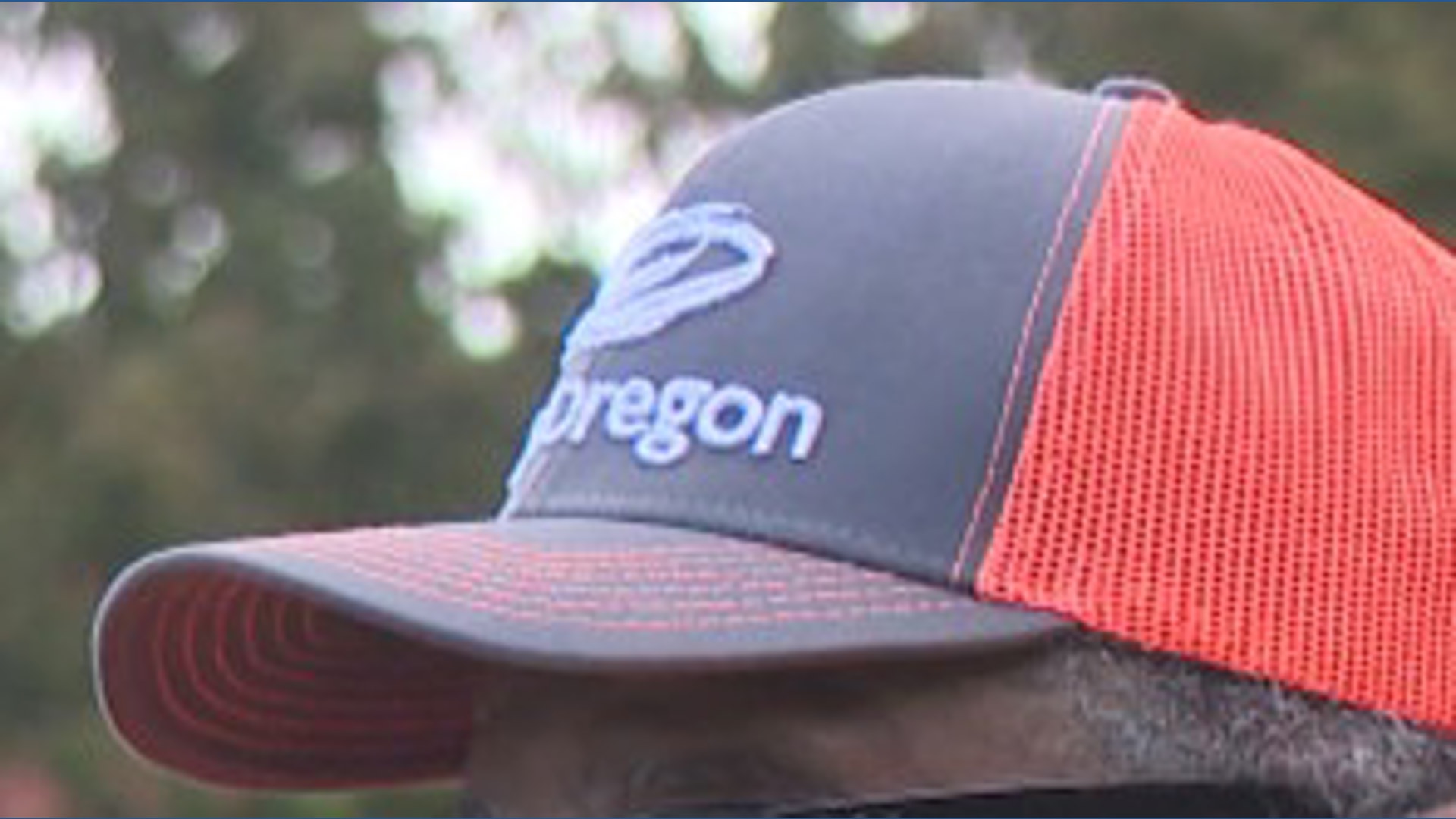 Saturday's American Heart Association Heart and Stroke Walk brings ...