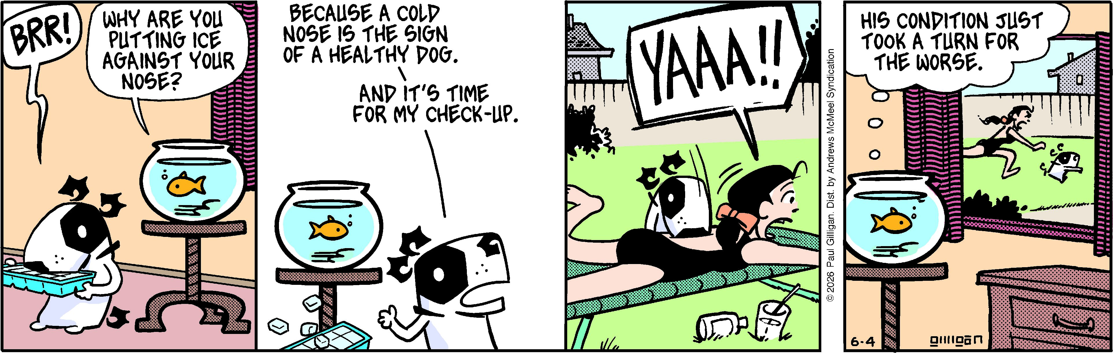 Pooch Cafe by Paul Gilligan