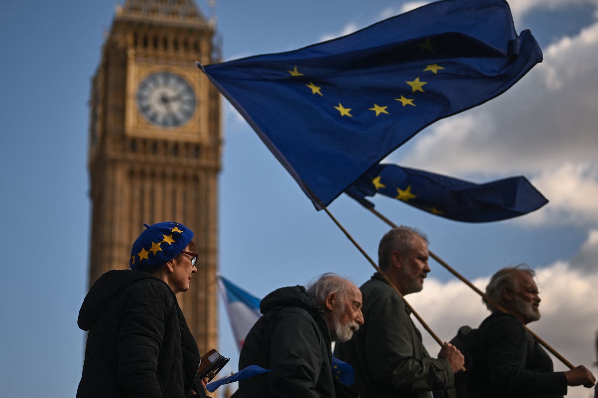 Labour may reconsider Brexit red lines, minister suggests