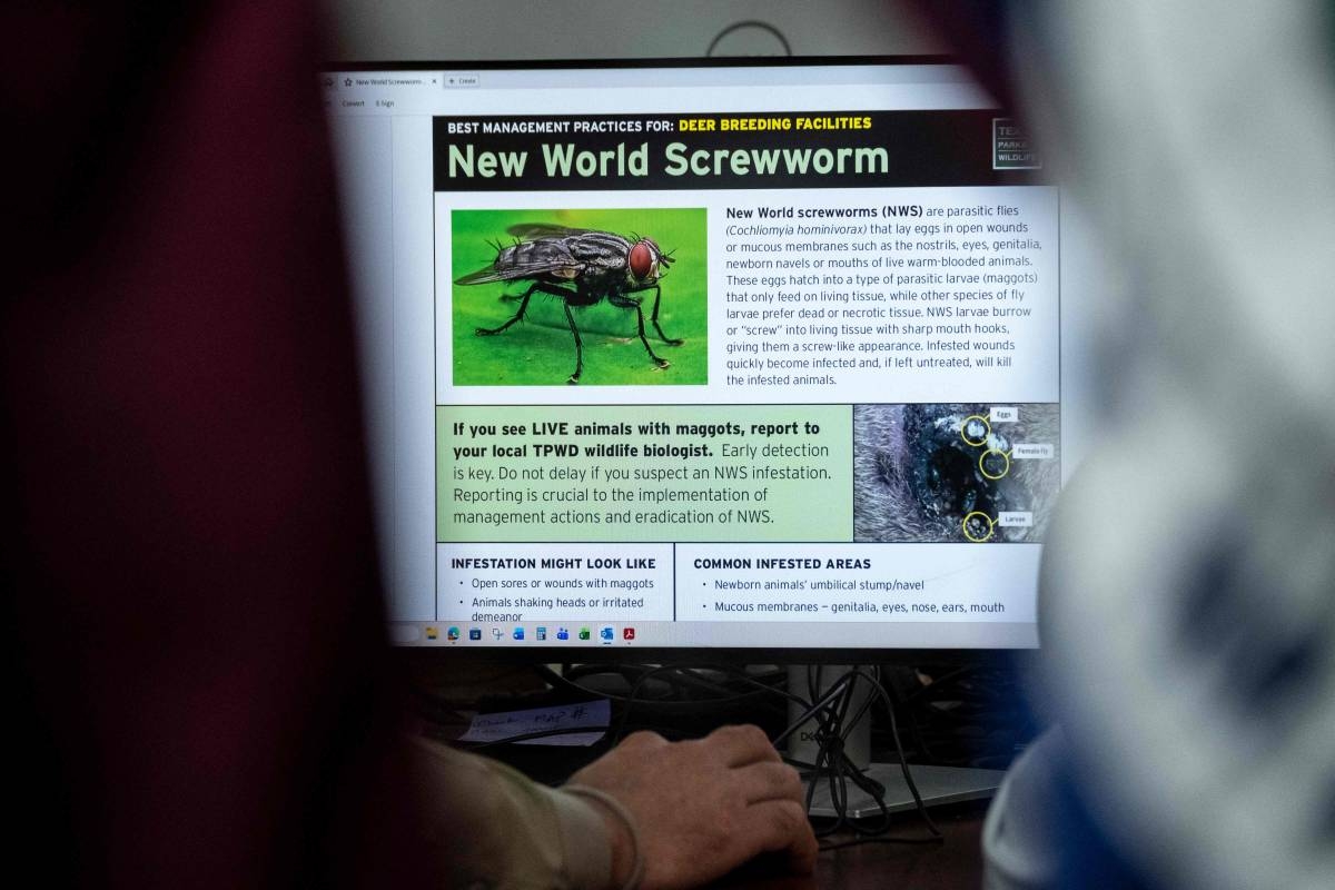 US reports second case of dangerous livestock pest