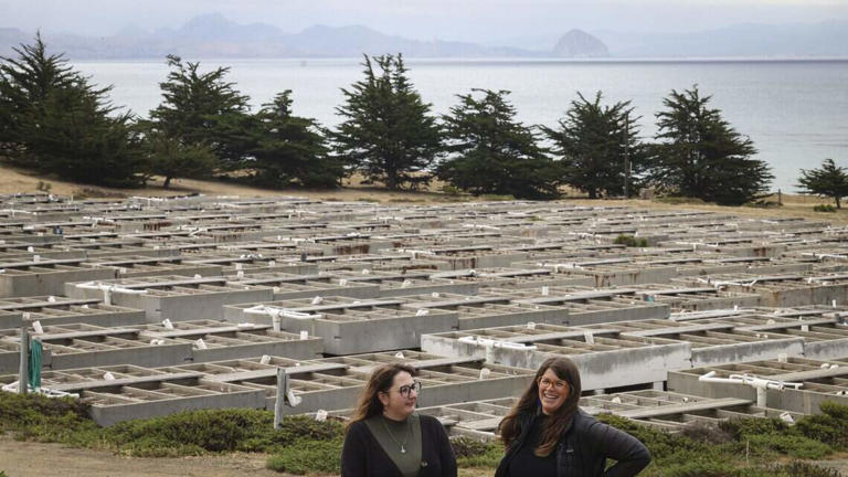 SLO County was home to the largest abalone farm in U.S. Can ytt Tribe ...