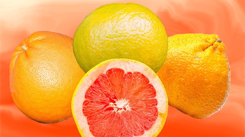 14 types of grapefruit you should know