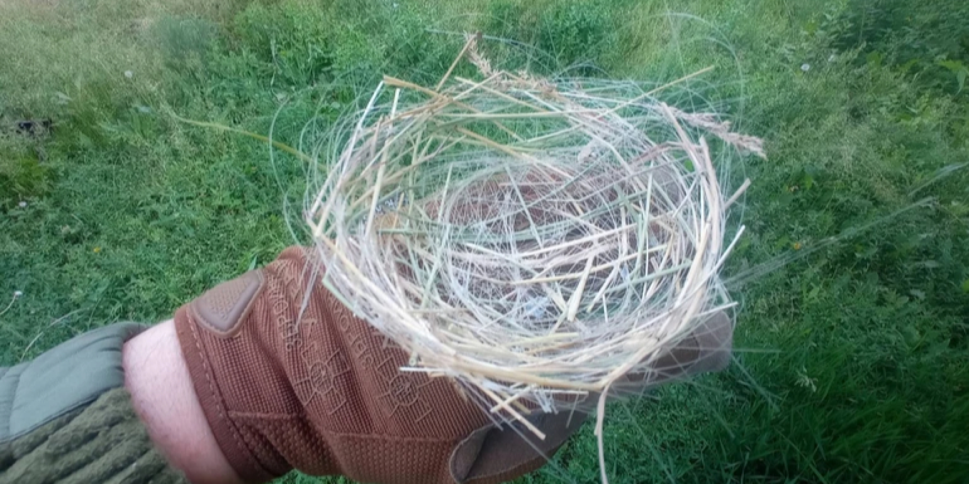 Birds in Donetsk Oblast building nests with drone fiber-optic cable