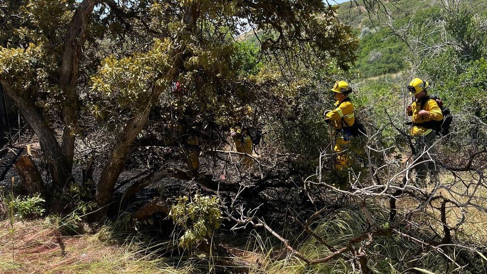 Home remains under evacuation after firefighters contain Sandy brush fire