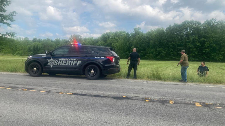 Deputies join rescue effort after mother duck killed on Ballantyne Road ...