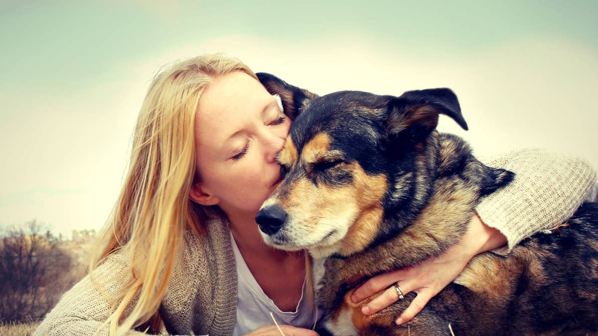 Rescue dog sprints to mom for hug after 'terrifying' run-in with leaves
