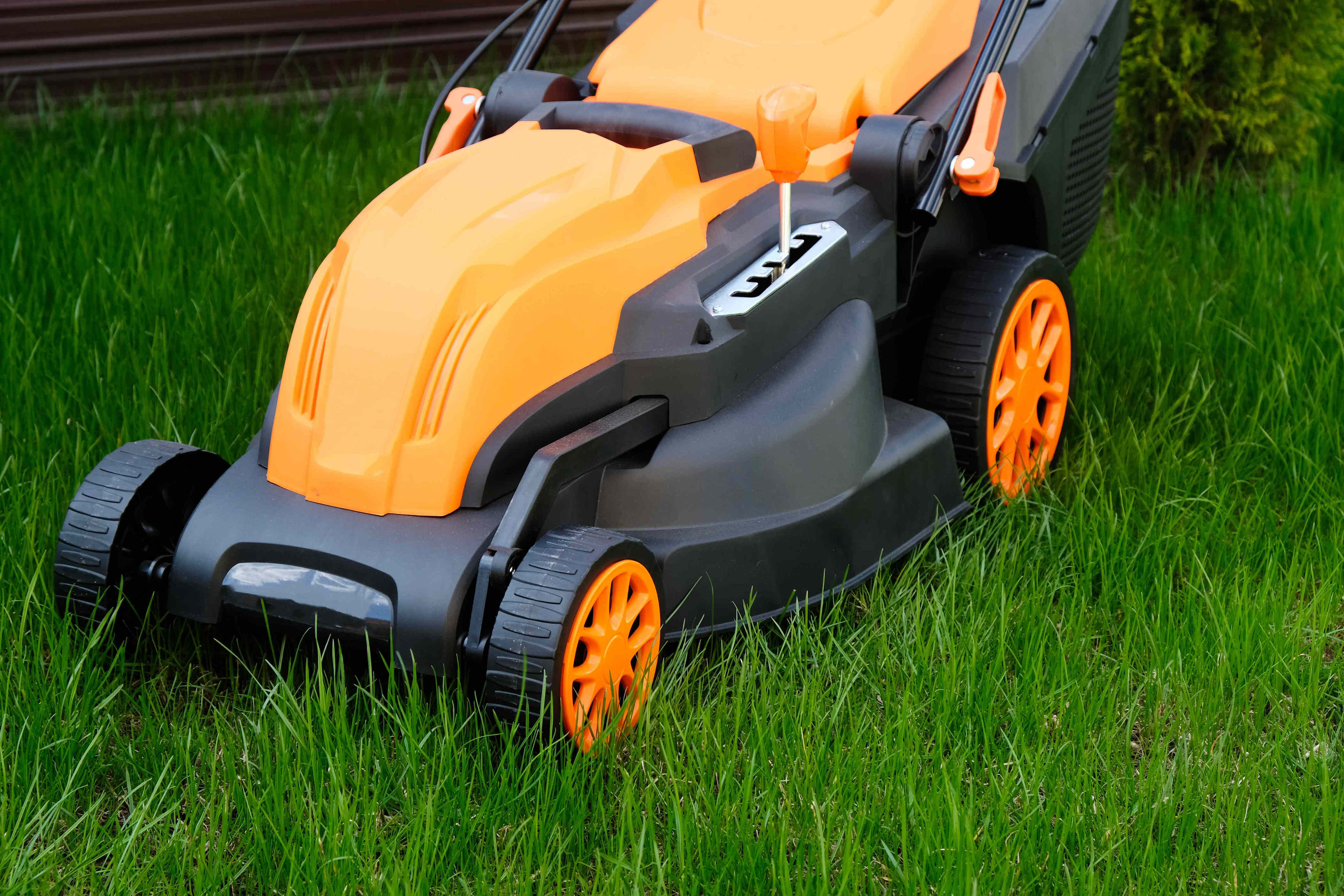 How to adjust your mower height for lush, green grass all season
