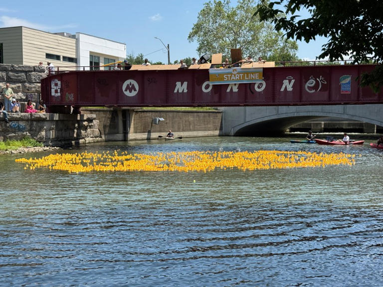 3,000 rubber ducks race down canal for Broad Ripple Duck Race
