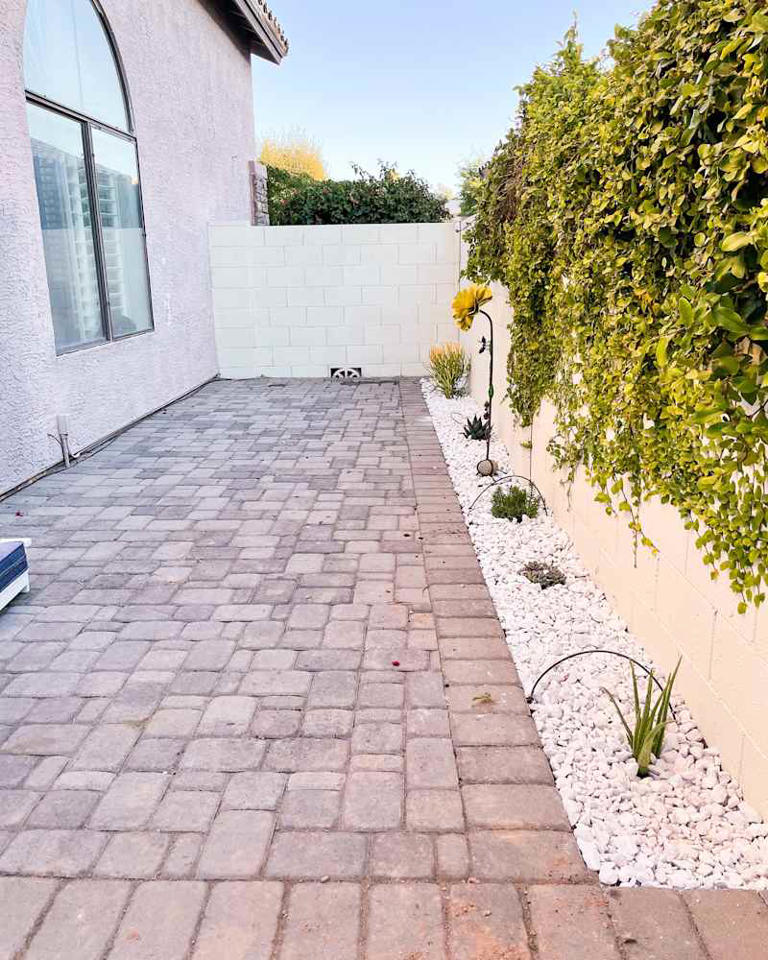 I transformed a sad patch of grass into a breathtaking desert oasis ...