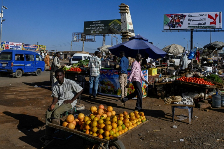 Drone strike on central Sudan market kills 11: rights group