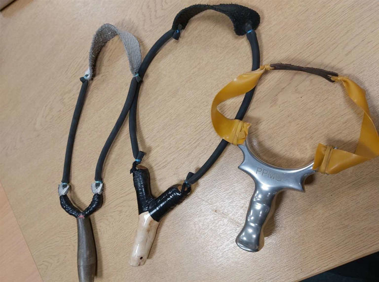 Maidstone council to consider PSPO measures to curtail catapult use as ...