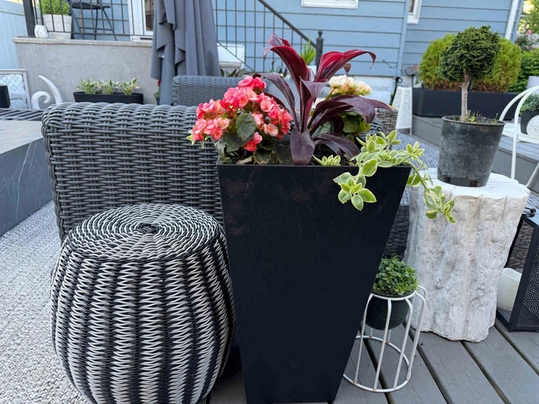 These popular $70 planters are only $20 at Costco, so I bought 4