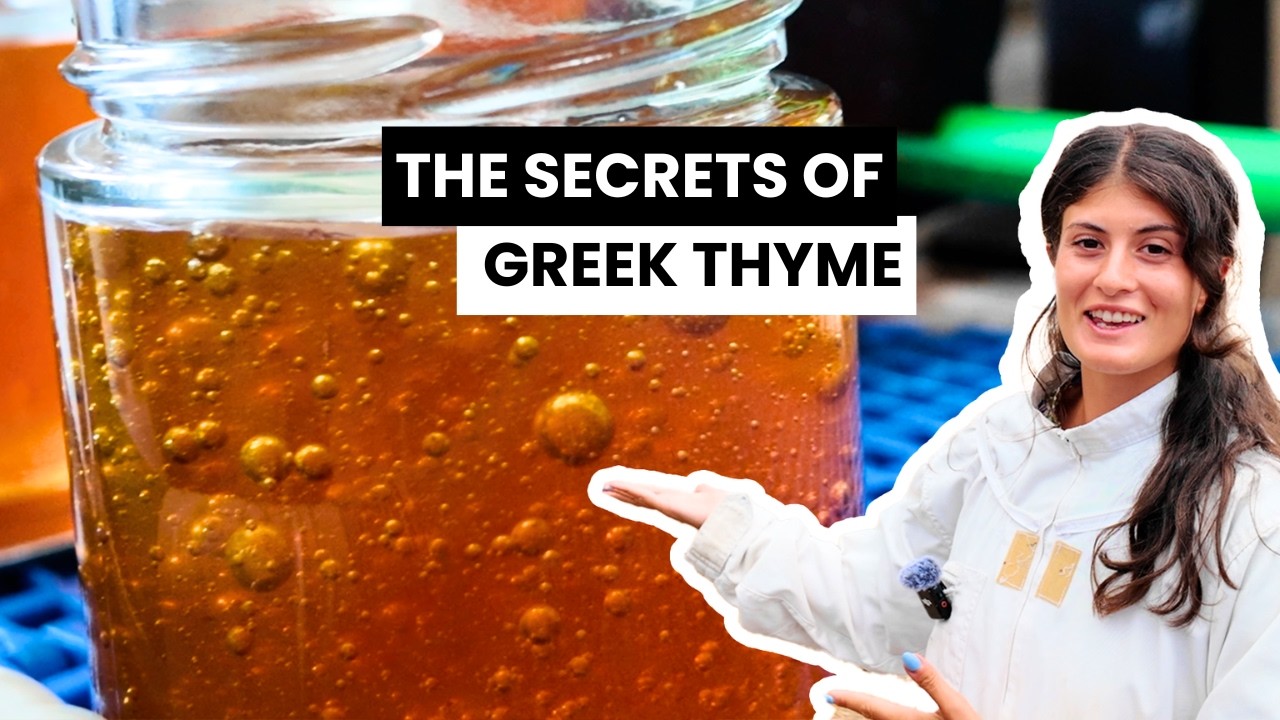 I went beekeeping in Greece 🐝🍯