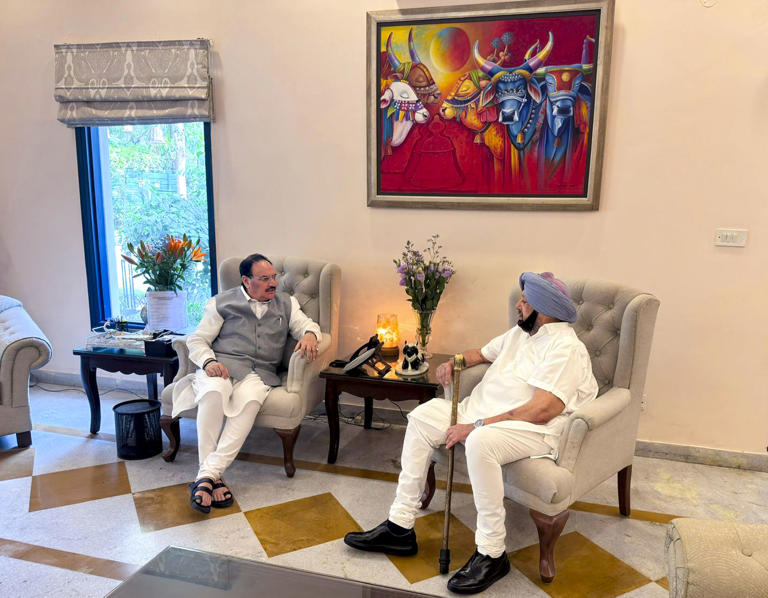 Amarinder meets Shah, Nadda; says discussed various issues concerning ...