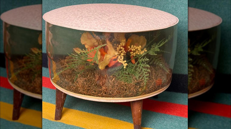 It was a bizarre trend in the '60s, now it's the vintage living room ...