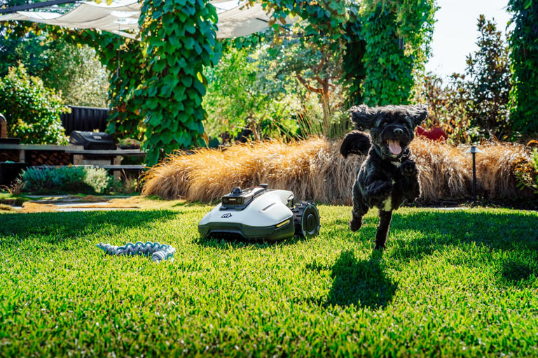 Mammotion Yuka Mini 2 review: AI-powered robot lawnmower tested (aff)