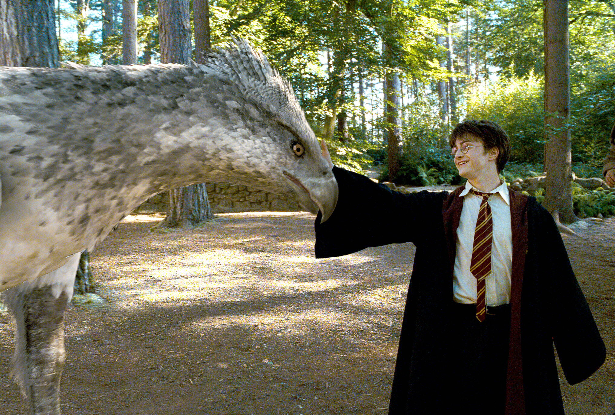 10 cinematic fantasy worlds that captivate audiences today