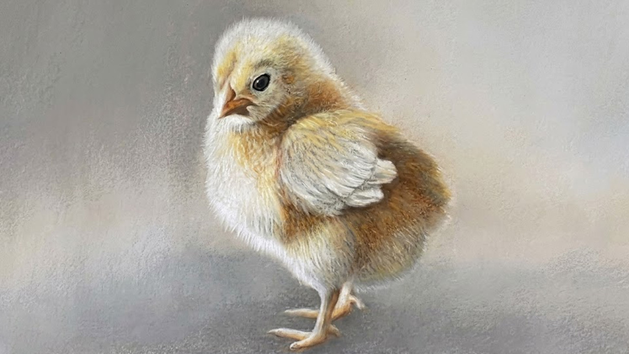 Charming chick illustration in pastels | Easy cute animal drawing steps